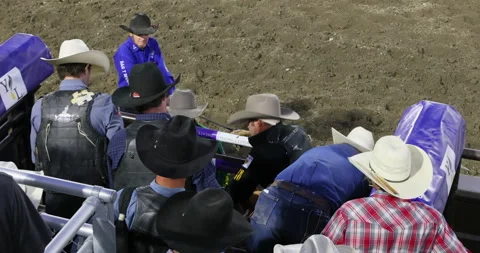 Rodeo getting ready bare back horse bron... | Stock Video | Pond5