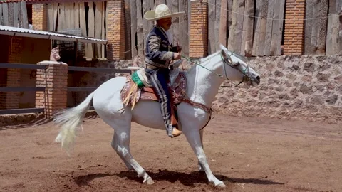 Rodeo performing stunts on a white horse | Stock Video | Pond5