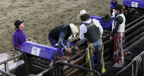 Rodeo ready bare back horse bronco ride ... | Stock Video | Pond5