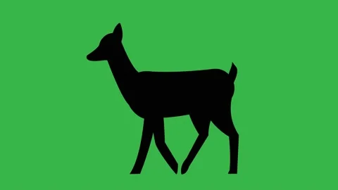 Roe deer silhouette animation on the gre... | Stock Video | Pond5