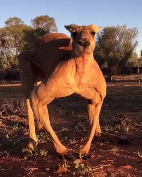 533,398 Vertical Stock Videos and Footage | Pond5 | Page 2