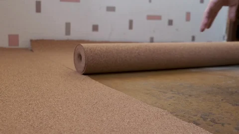 C Roll Video Stock Videos – Royalty-Free HD & 4K Videos