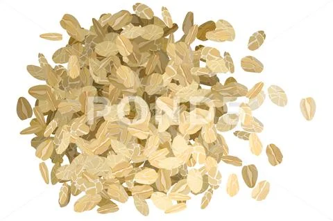 Rolled oats pile on white background vector illustration: Royalty Free ...