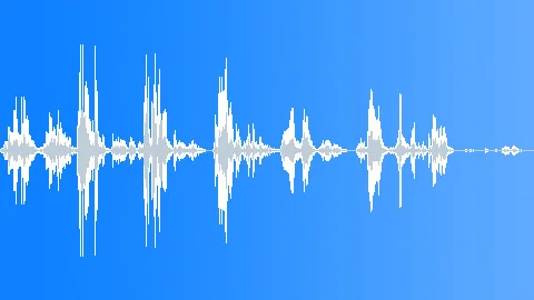 Roller Skate, Fast, Squeaky Wheel Roll, Repetitive, Metal Pulley Moving ...