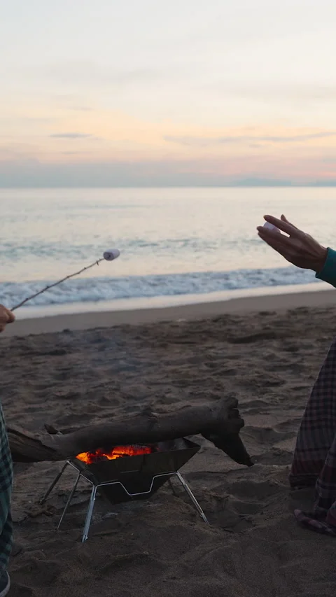 Date Sugar Stock Videos – Royalty-Free HD & 4K Videos | Page 3