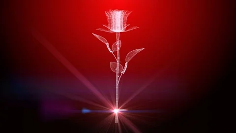 Romantic red rose engagement background | Stock Video | Pond5