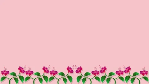 Rose Border Backgrounds Stock Videos – Royalty-Free HD & 4K Videos