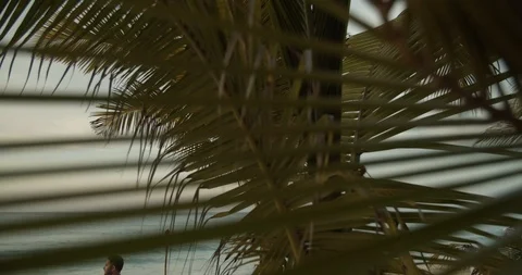 Romantic Sunset Dinner on Beach, Pan Dow... | Stock Video | Pond5