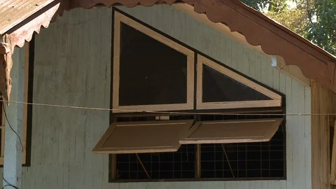 Classical Windows Stock Videos – Royalty-Free HD & 4K Videos