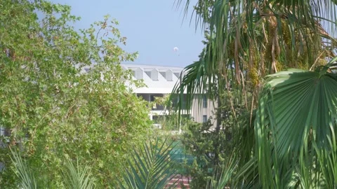 The roof of the house can be seen behind... | Stock Video | Pond5