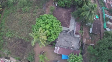 roof, tree top view | Stock Video | Pond5