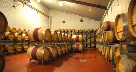Room Full of Wine Casks, Barrels, Interi... | Stock Video | Pond5