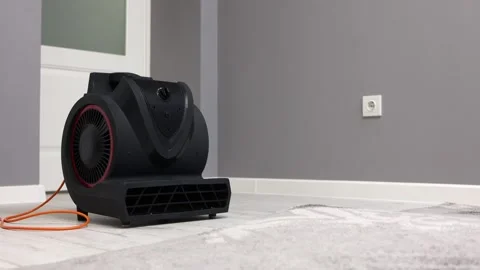 Cleaning Wallpaper Stock Videos – Royalty-Free HD & 4K Videos