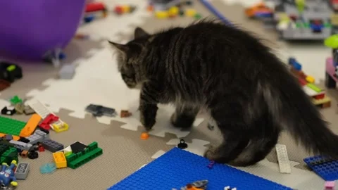 Its Blocks Stock Videos – Royalty-Free HD & 4K Videos