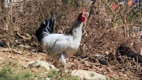 Outside H Stock Videos – Royalty-Free HD & 4K Videos | Pond5