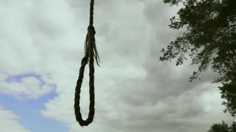 Rope on a tree branch. A noose on a tree... | Stock Video | Pond5
