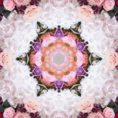 Circle Geometry Stock Footage ~ Royalty Free Stock Videos | Pond5