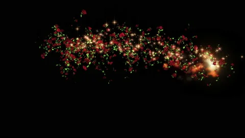 rose flower particle animation backgroun... | Stock Video | Pond5