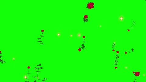 rose flower particle green screen animat... | Stock Video | Pond5
