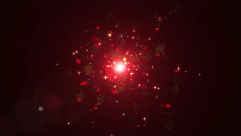 rose flower particle loop animation | Stock Video | Pond5