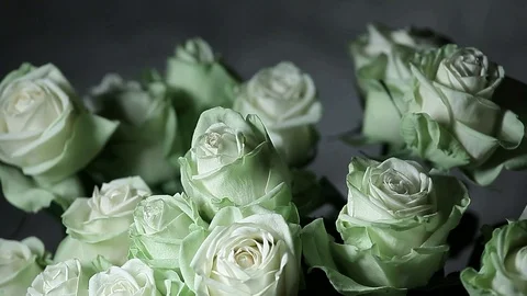 rose flower sharp wall background hd foo... | Stock Video | Pond5
