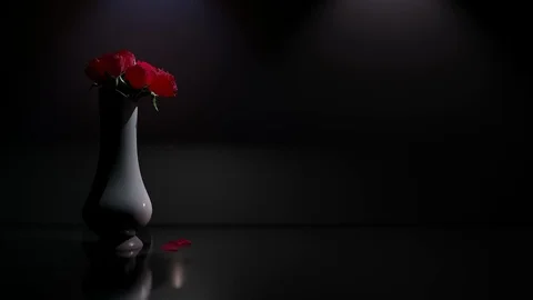 Rose Petals Falling Down from Vase in Da... | Stock Video | Pond5