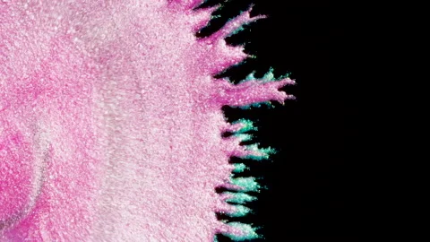 Rose Particles Stock Footage ~ Royalty Free Stock Videos | Pond5