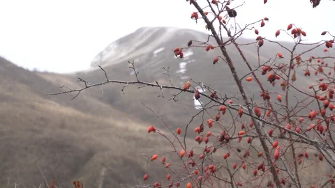 Red Chalk Mountain Stock Videos – Royalty-Free HD & 4K Videos | Pond5