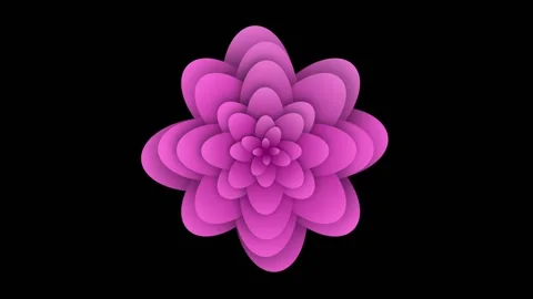 Rotating animated growing pink flower. D... | Stock Video | Pond5