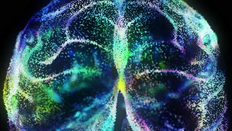 Rotating Brain Stock Footage ~ Royalty Free Stock Videos | Pond5