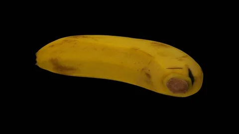 Rotating Banana on Transparent Backgroun... | Stock Video | Pond5