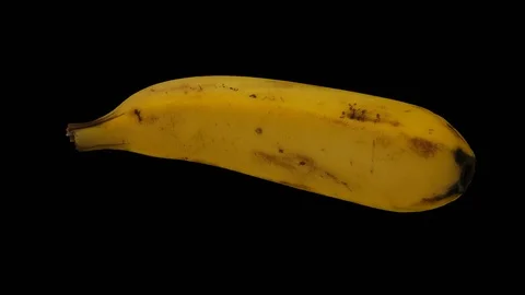 Rotating Banana on Transparent Backgroun... | Stock Video | Pond5