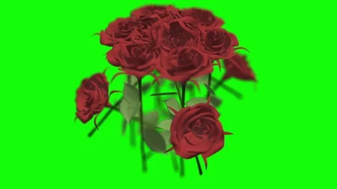 Rotating Bouquet of Flowers in Green Scr... | Stock Video | Pond5