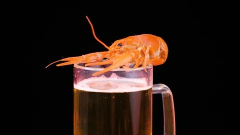 Rotating crayfish on a black background,... | Stock Video | Pond5