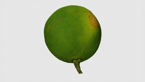 Rotating Dalandan Orange on Transparent ... | Stock Video | Pond5