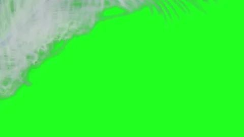 Rotating feather in green screen. feath... | Stock Video | Pond5