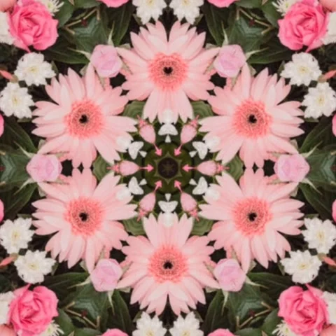 Pattern Floral Background Stock Videos – Royalty-Free HD & 4K Videos