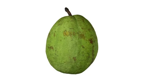 Guava White Stock Videos – Royalty-Free HD & 4K Videos