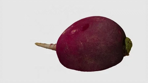 Rotating Half Red Radish on Transparent ... | Stock Video | Pond5