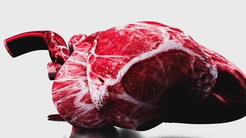 Rotating Heart Human Heart Anatomy heart... | Stock Video | Pond5