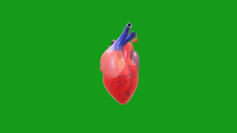 Rotating heart motion graphics with gree... | Stock Video | Pond5