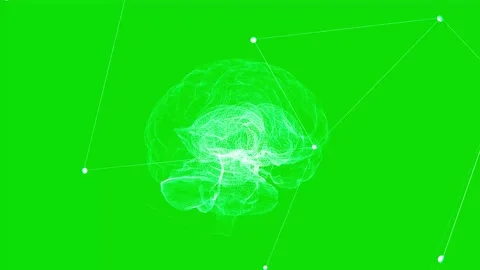 Rotating Human Brain Model Animation on ... | Stock Video | Pond5