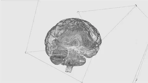 Rotating Human Brain Model Animation on ... | Stock Video | Pond5