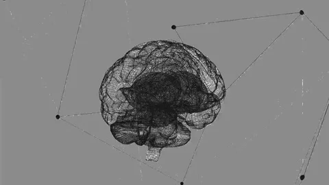 Rotating Human Brain Model Animation. Ar... | Stock Video | Pond5