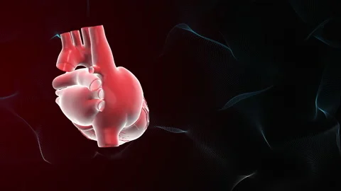 Rotating human heart medical background | Stock Video | Pond5