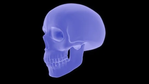 Rotating Human Skull 3D Animation | Stock Video | Pond5