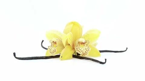 Vanilla Stock Video Footage | Royalty Free Vanilla Videos | Pond5