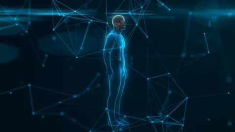 Musculoskeletal System Stock Footage ~ Royalty Free Stock Videos | Pond5