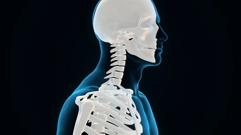 Male Body Scan Stock Footage ~ Royalty Free Stock Videos | Pond5