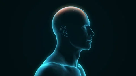 Musculoskeletal System Stock Footage ~ Royalty Free Stock Videos | Pond5